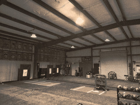 #1 Pitching Velocity Training Program - TopVelocity