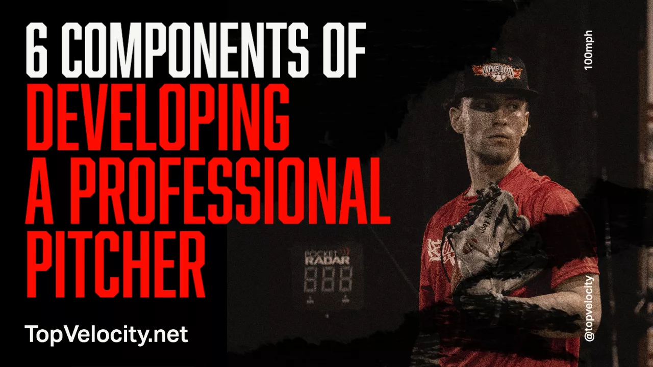6 Critical Factors to Developing a Professional Pitcher - TopVelocity